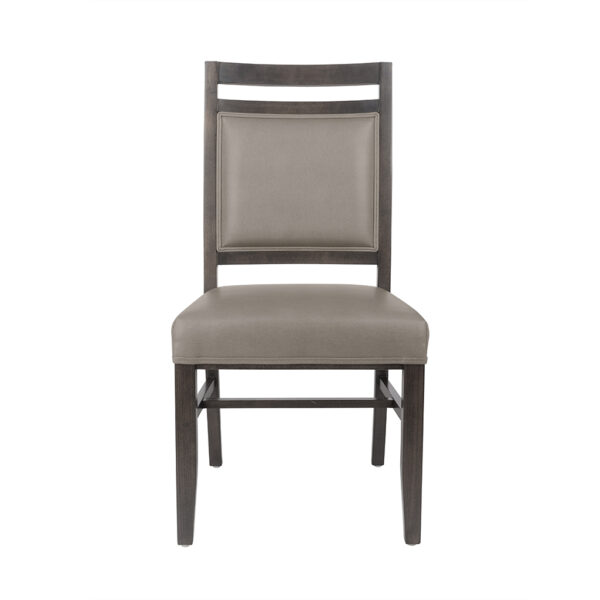 Alta Side Chair with Accent Seat | Holsag